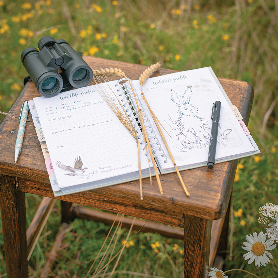 Wrendale Designs By Hannah Dale | Wrendale Gift | Wrendale Stationery